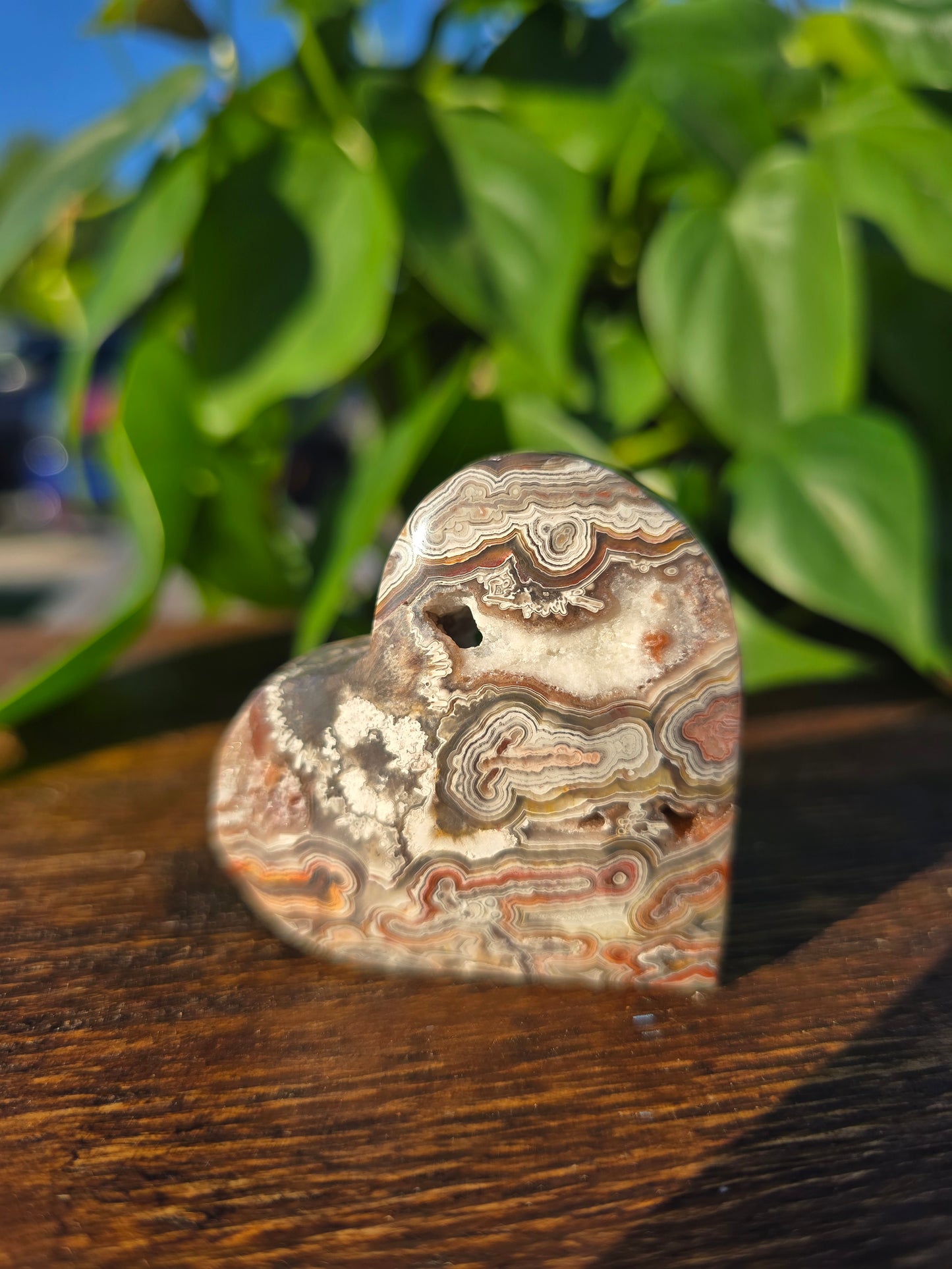 Mexican Crazy Lace Agate Crystal Heart Carving "F" – Moon Water Minerals
