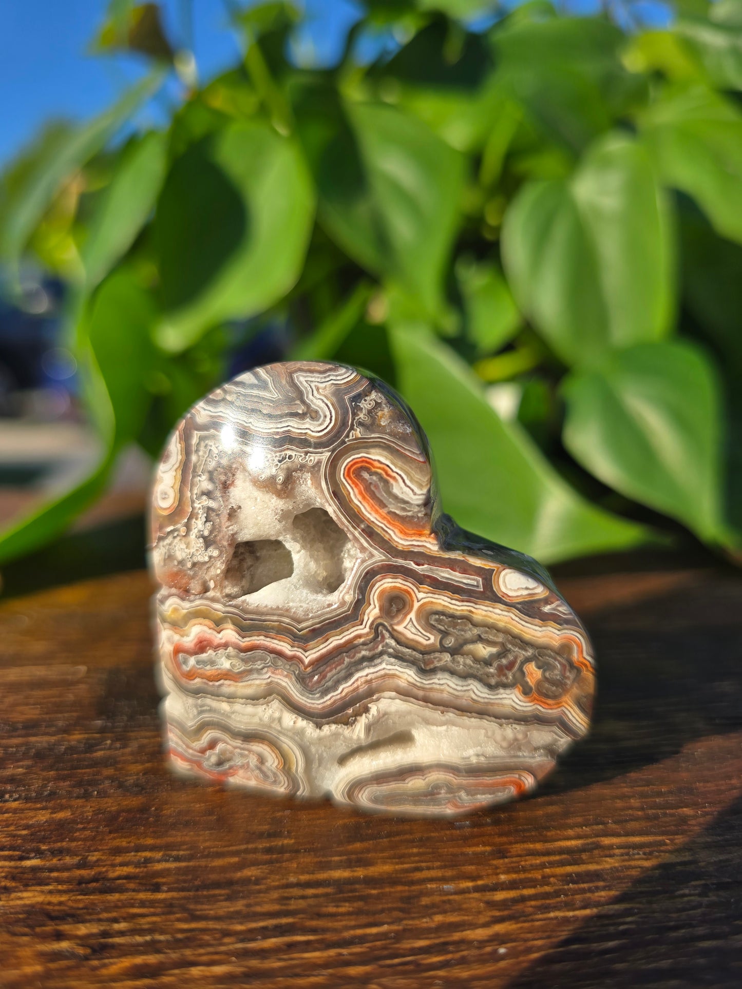 Mexican Crazy Lace Agate Crystal Heart Carving "F" – Moon Water Minerals